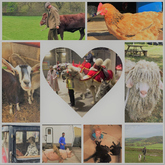 About us :: All Creatures Animal Experience